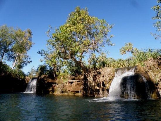 5 Natural parks in Queensland you must visit – Condamine Alliance